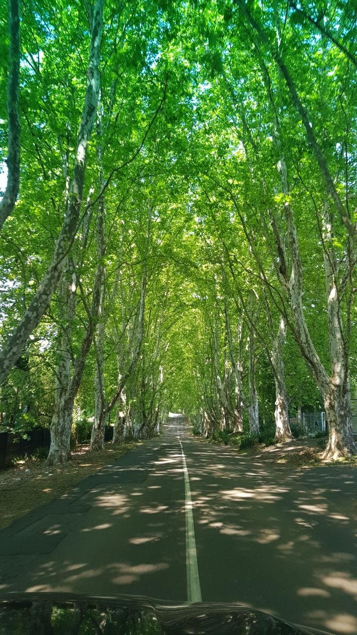 Durban-The Upper Highway